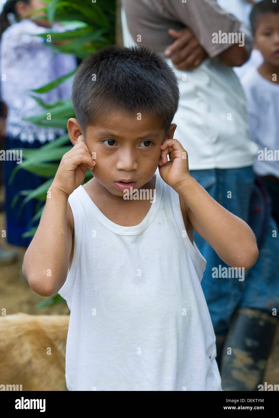 4 ears hi-res stock photography and images - Alamy