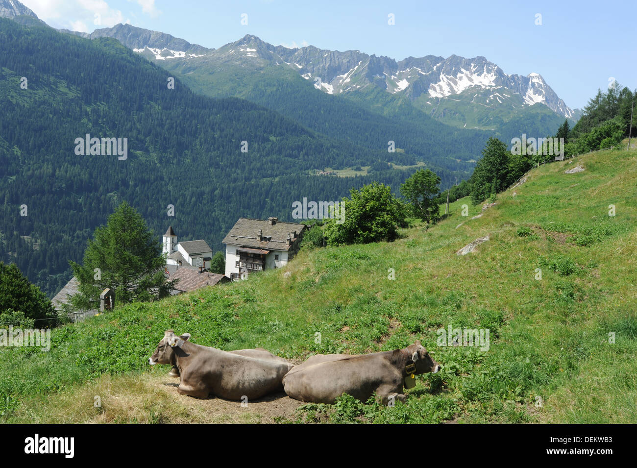 The village of Altanca on the swiss alps Stock Photo - Alamy