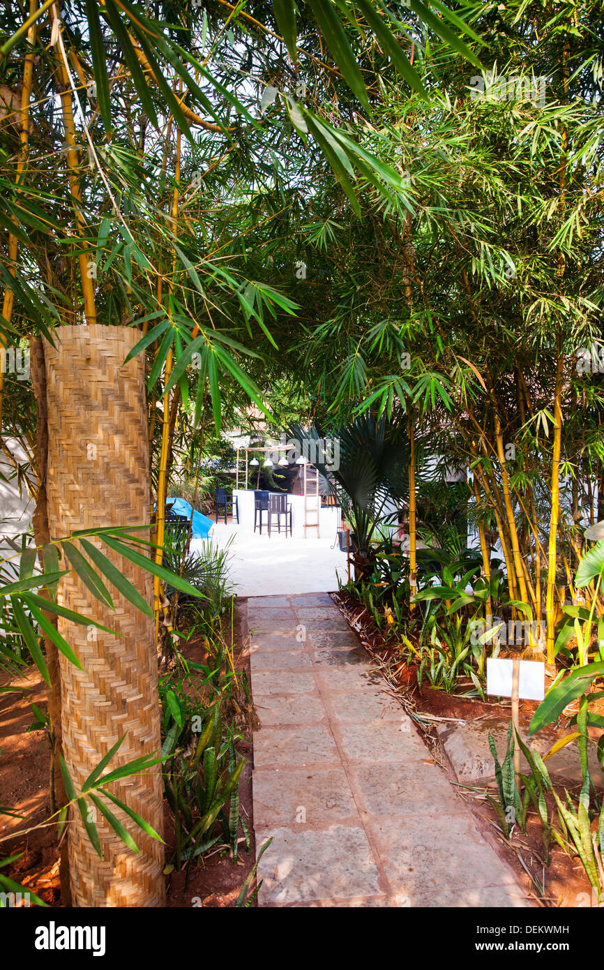 Trees and plants in a garden of a restaurant, Le Poisson Rouge, Baga ...