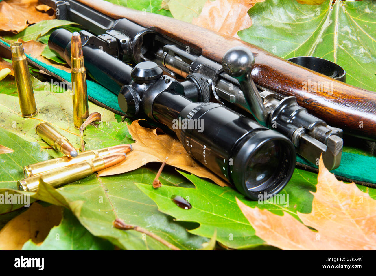 Close up of rifle with telescope and bullets on bed of leaves Stock ...