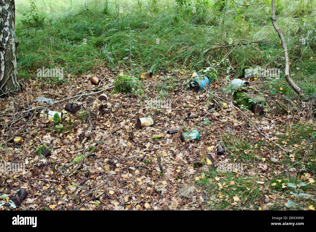 Rusty paint cans thrown in the woods Stock Photo - Alamy