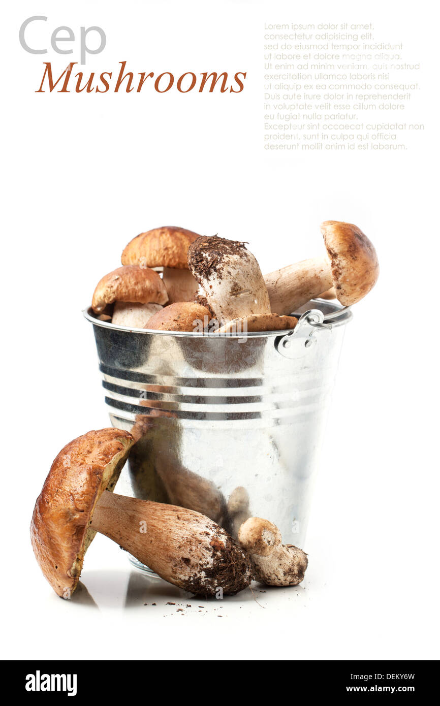 Sample bucket hi-res stock photography and images - Alamy