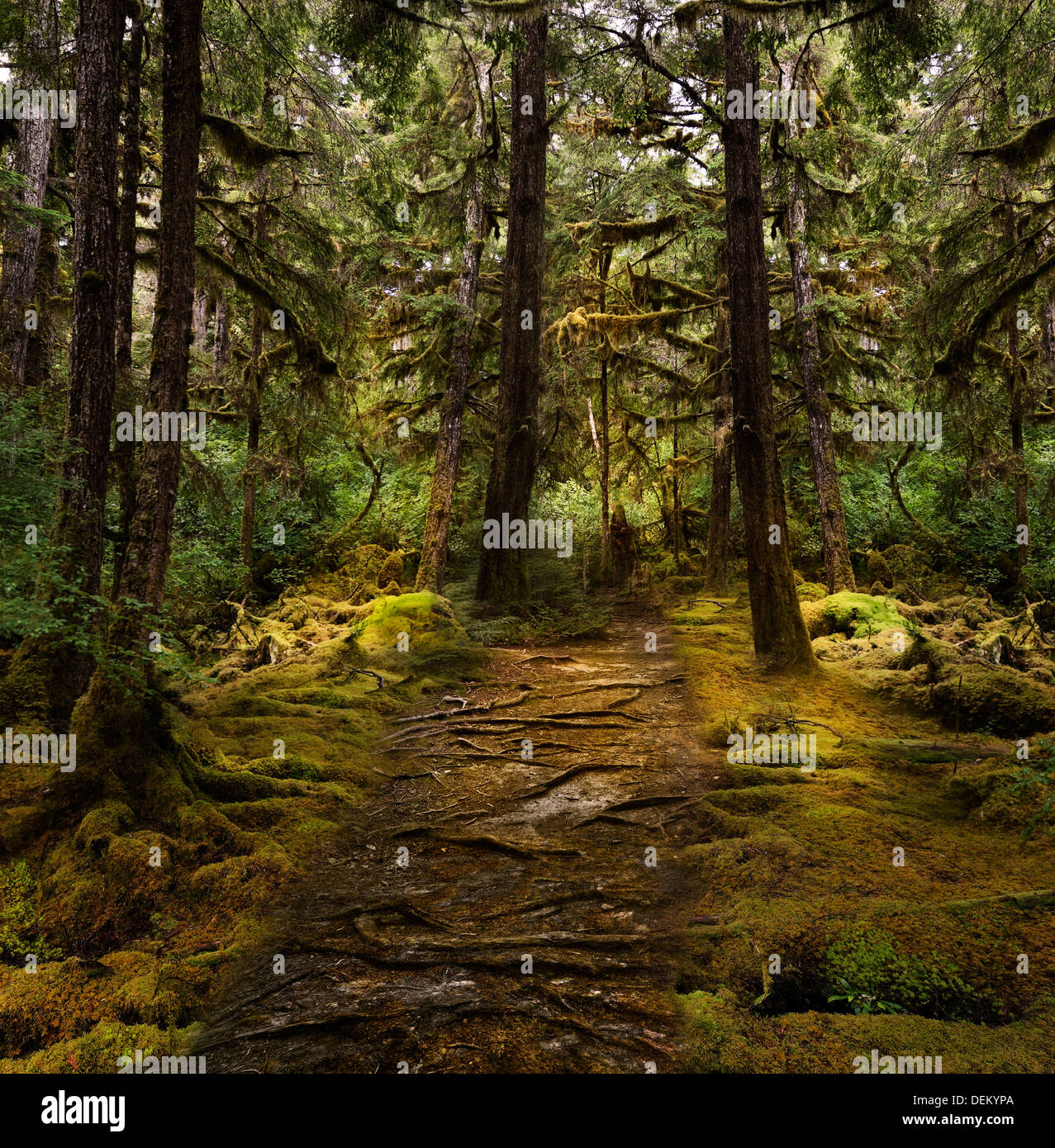 Colorful ecosystem hi-res stock photography and images - Alamy