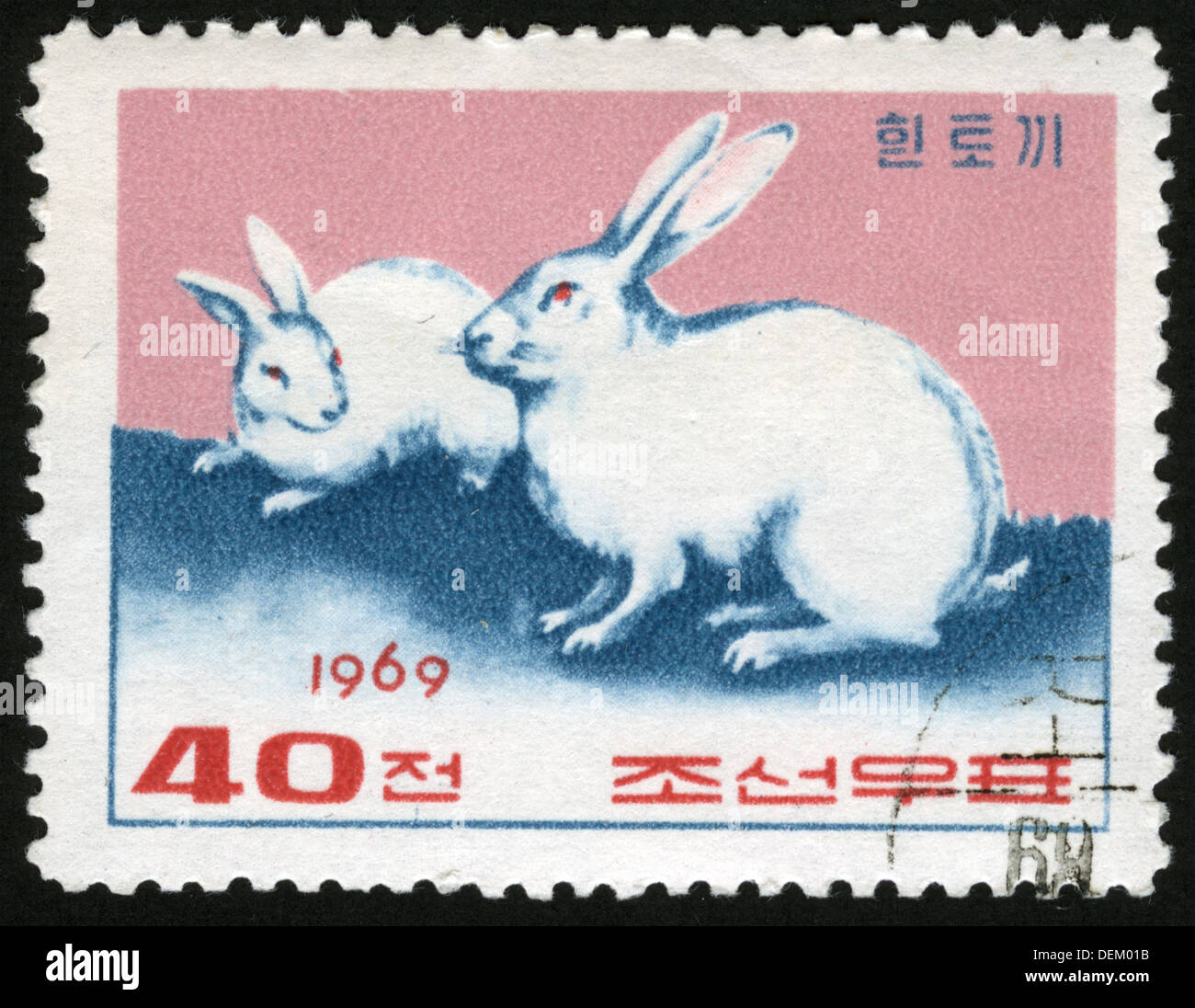 Images rabbits hi-res stock photography and images - Alamy