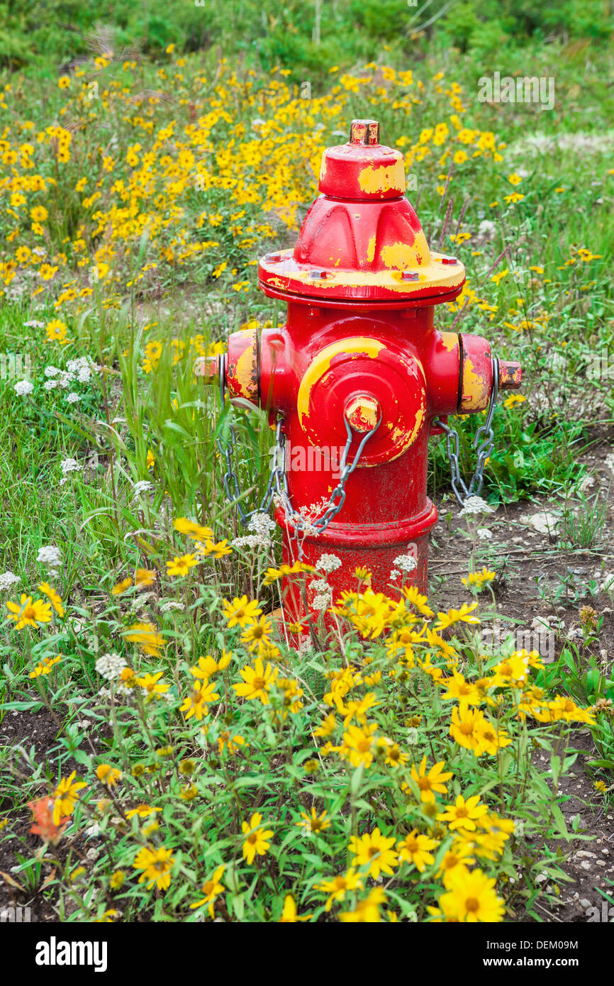 Red fire hydrant in field of flowers Stock Photo - Alamy