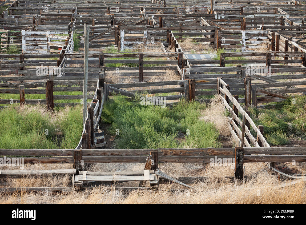Stockyard hi-res stock photography and images - Alamy
