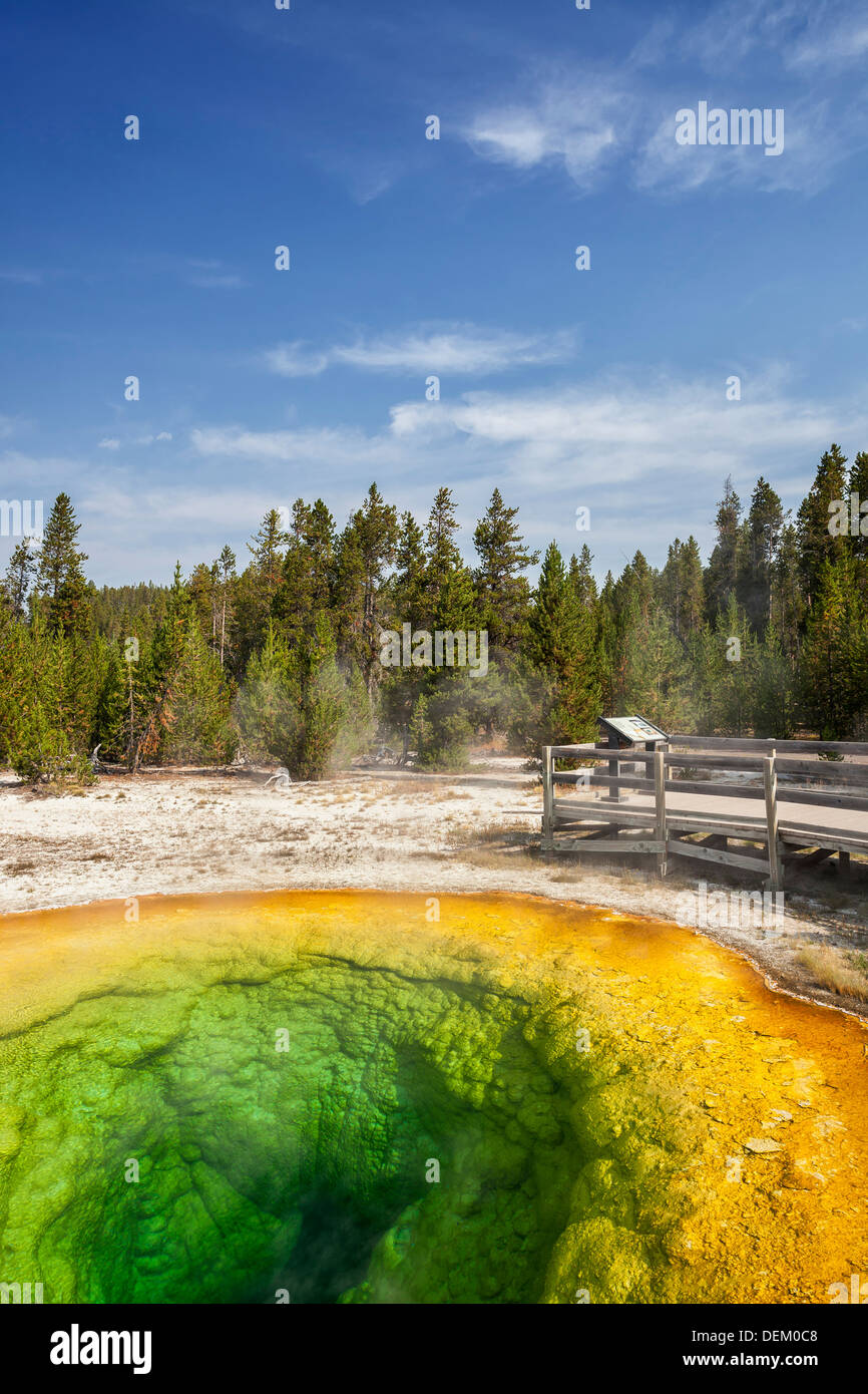 Geyser yellowstone hi-res stock photography and images - Alamy