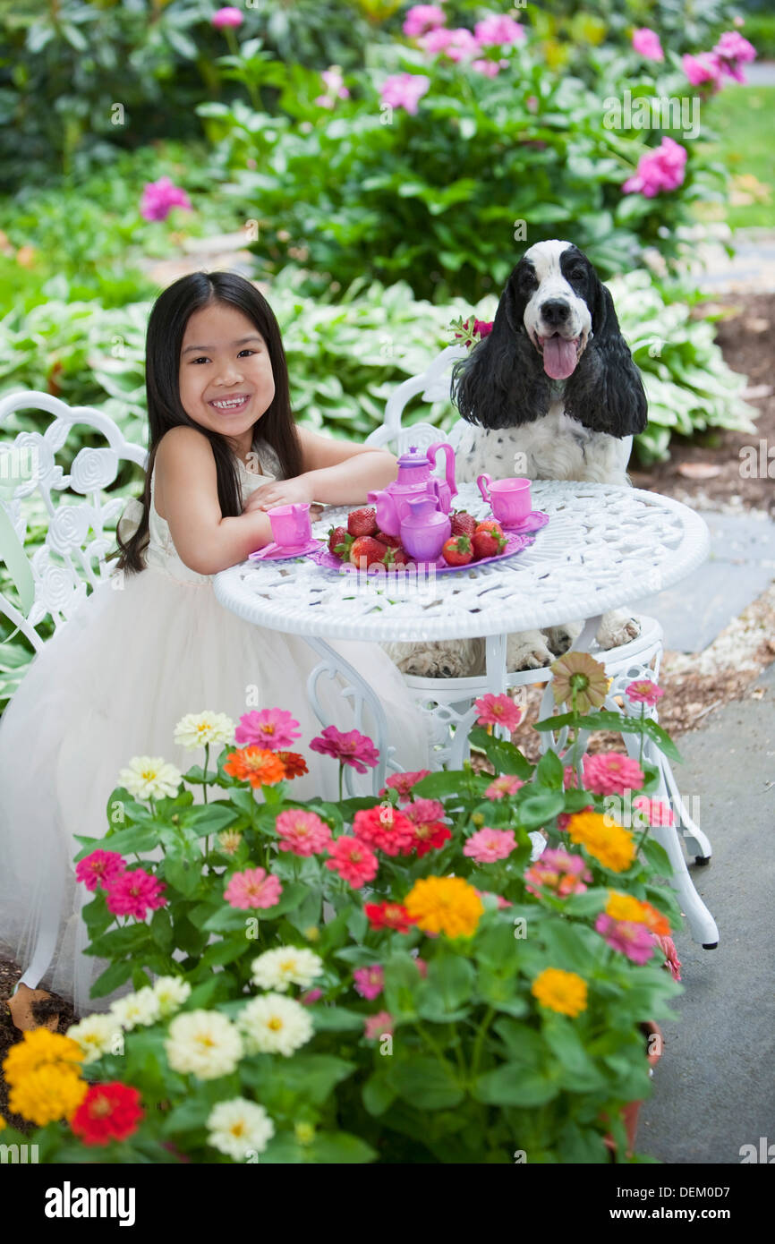 Dog tea party hi-res stock photography and images - Alamy