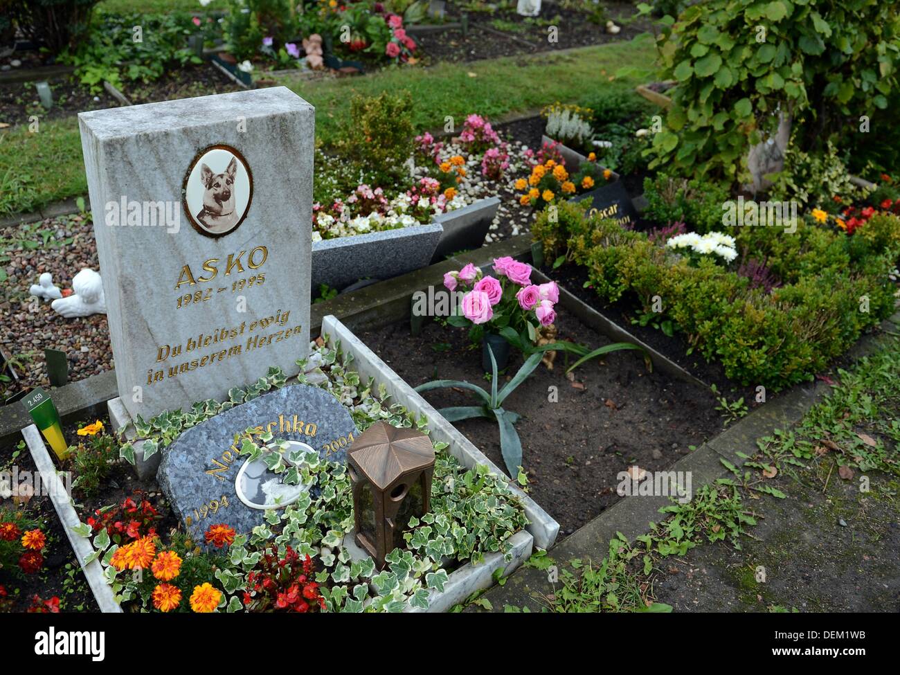 Animal graves pictured pet cemetery hi-res stock photography and images ...