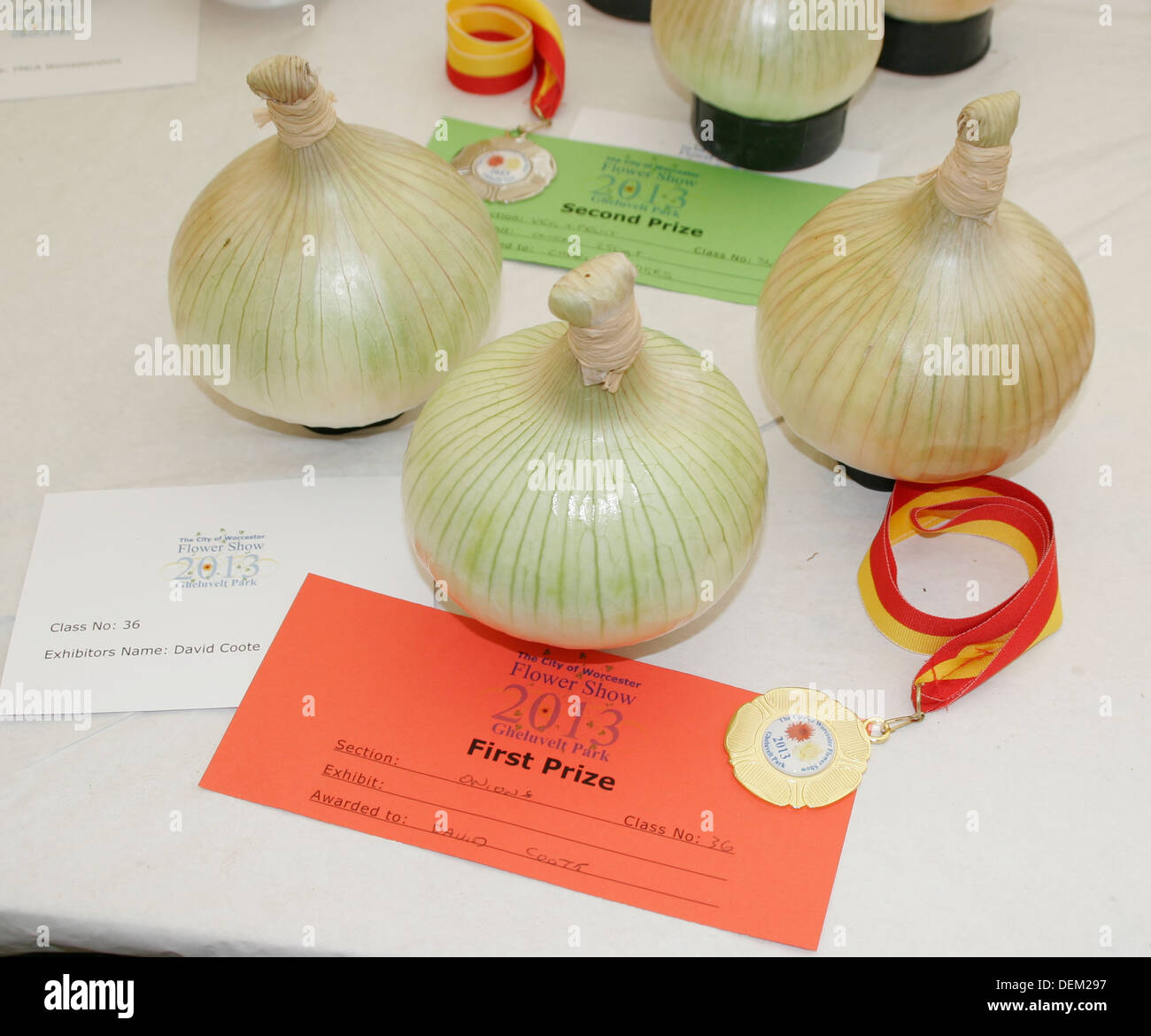 Prize Onions City Flower Show Worcester Worcestershire England UK Stock ...
