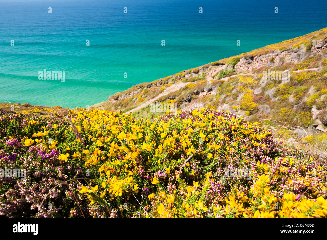 Heather gorse cliffs hi-res stock photography and images - Alamy