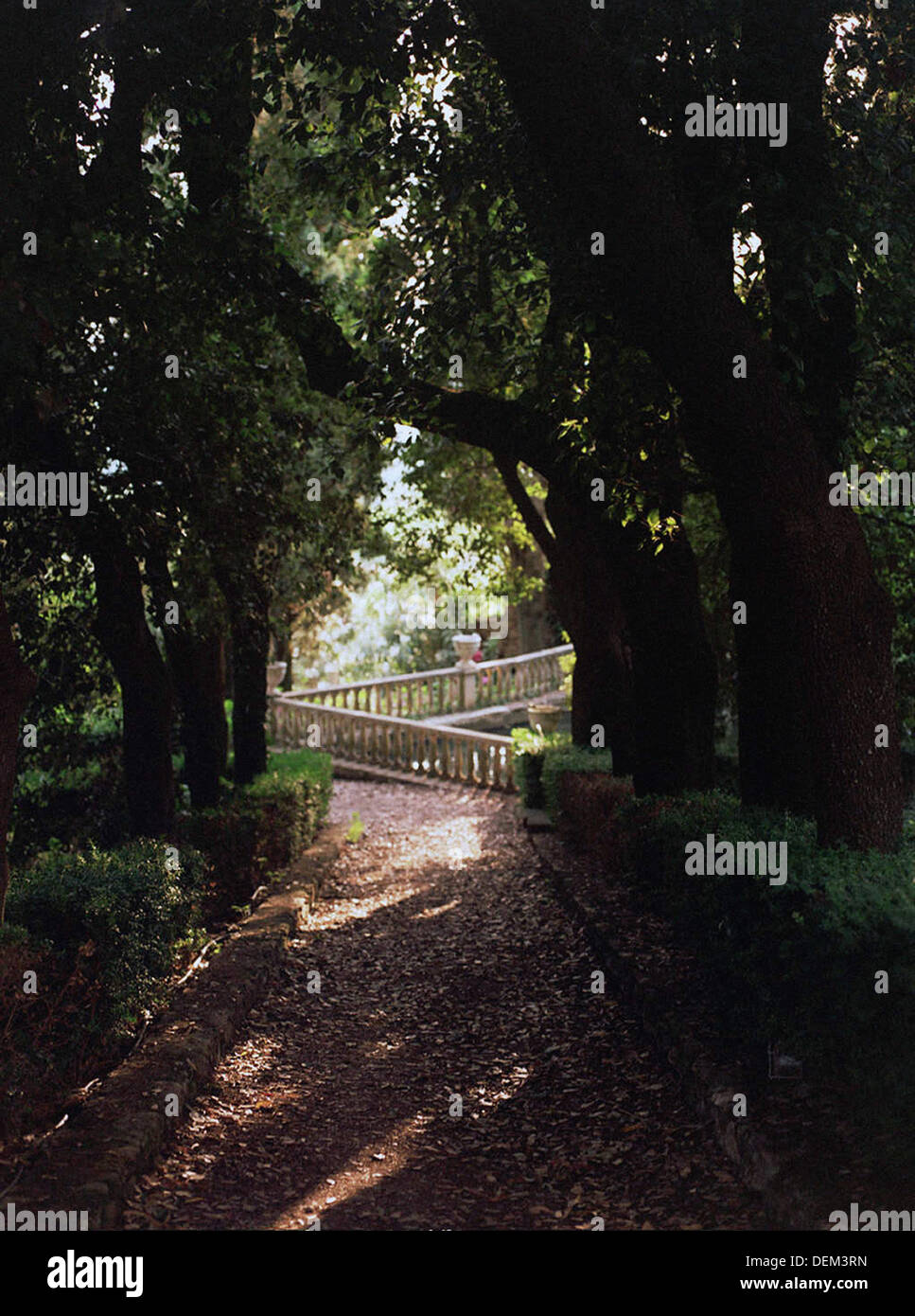 Tree-Lined Garden Path Stock Photo - Alamy