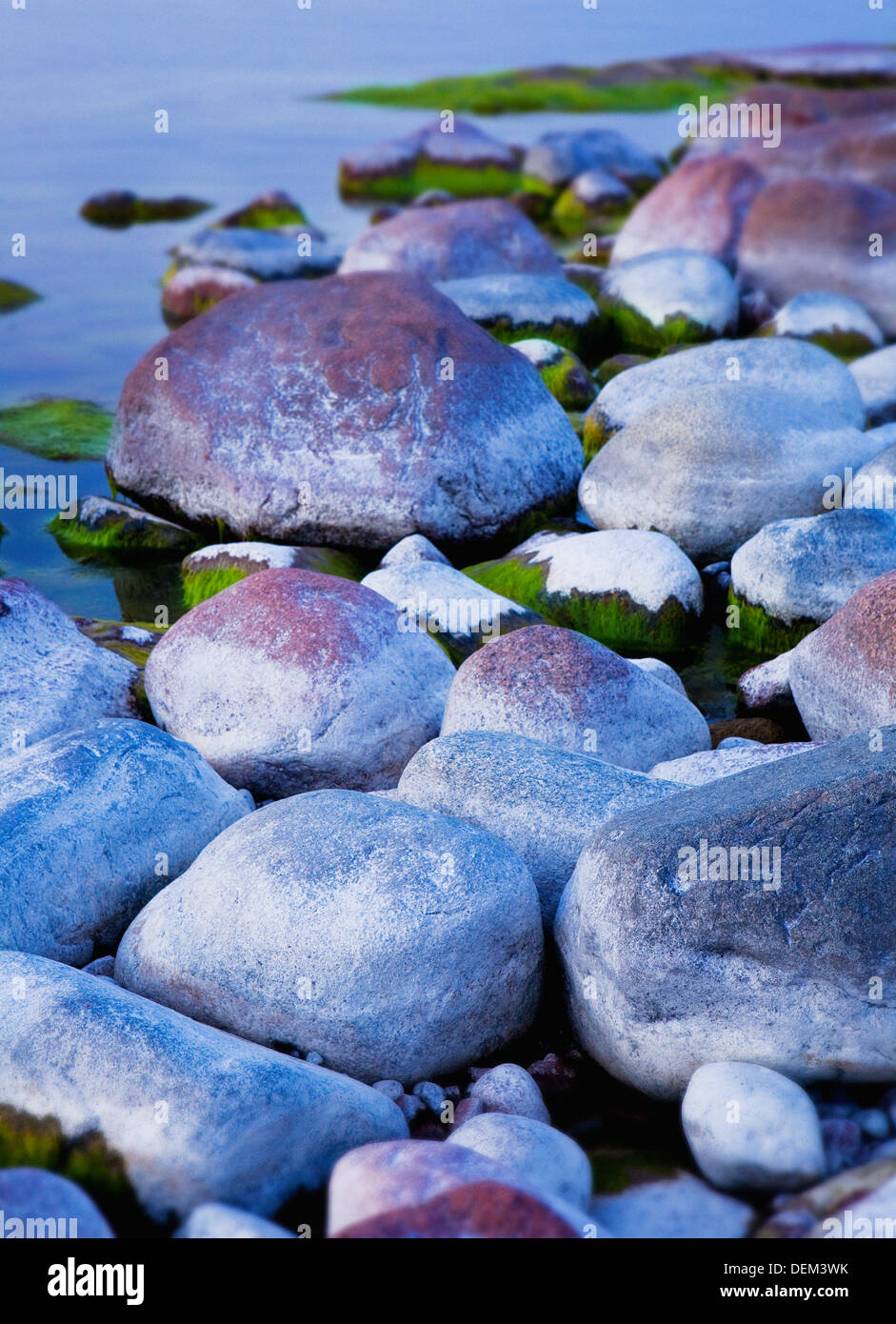 Tide algae hi-res stock photography and images - Alamy