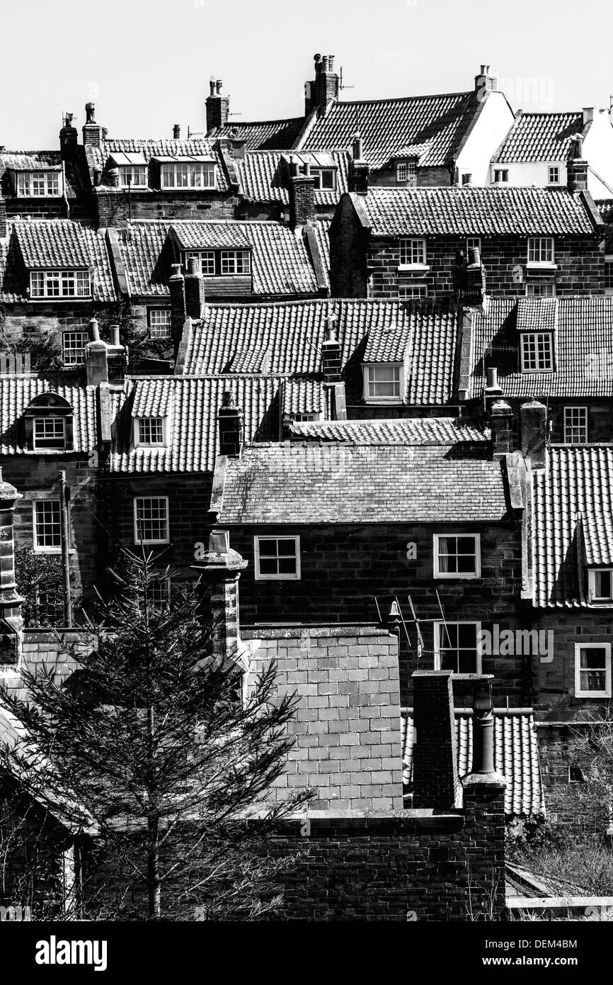 Robin britain Black and White Stock Photos & Images - Alamy