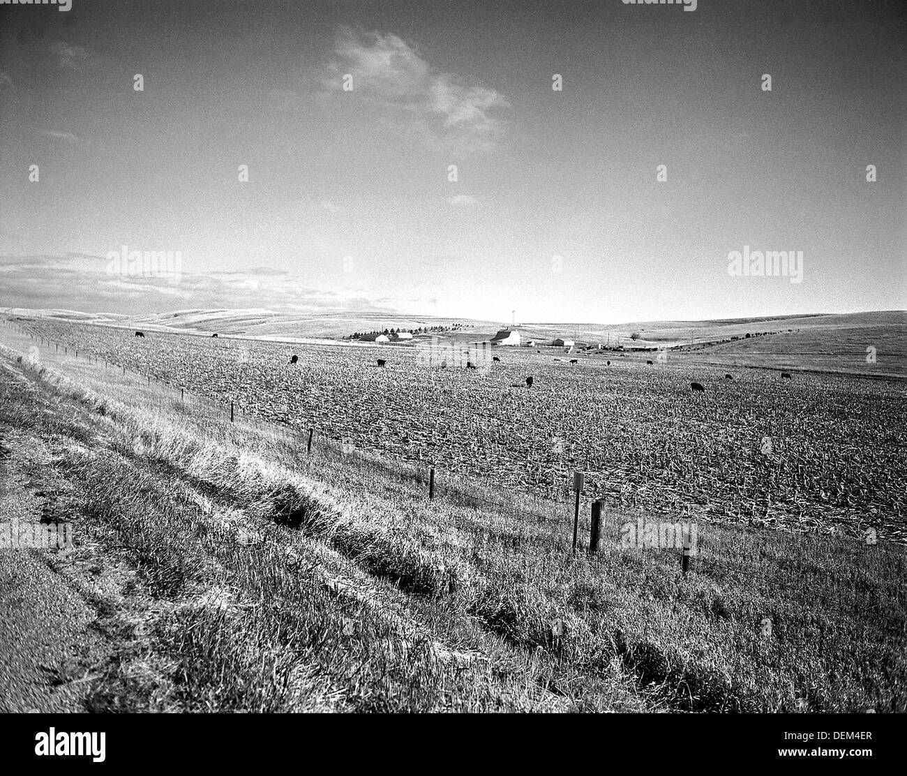Rural Farm and Field Stock Photo - Alamy