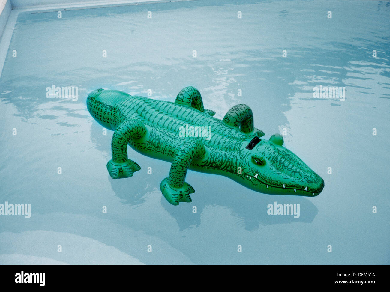 Inflatible Crocodile Floating in Pool Stock Photo - Alamy