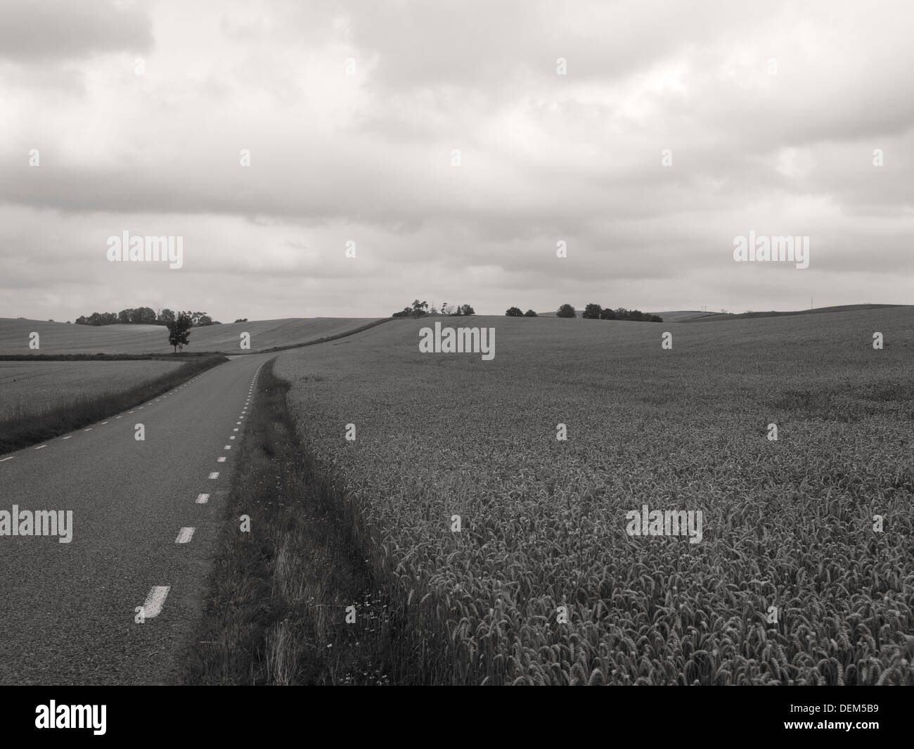 Road Through Rural Countryside Stock Photo - Alamy