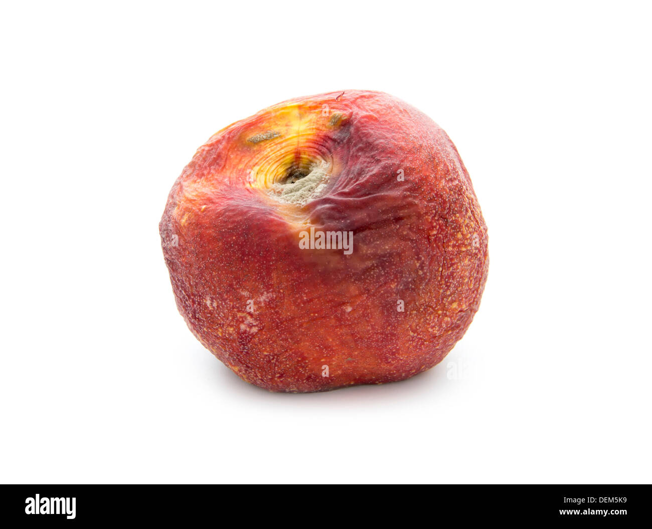 rotten old nectarine with mildew isolated on white Stock Photo - Alamy
