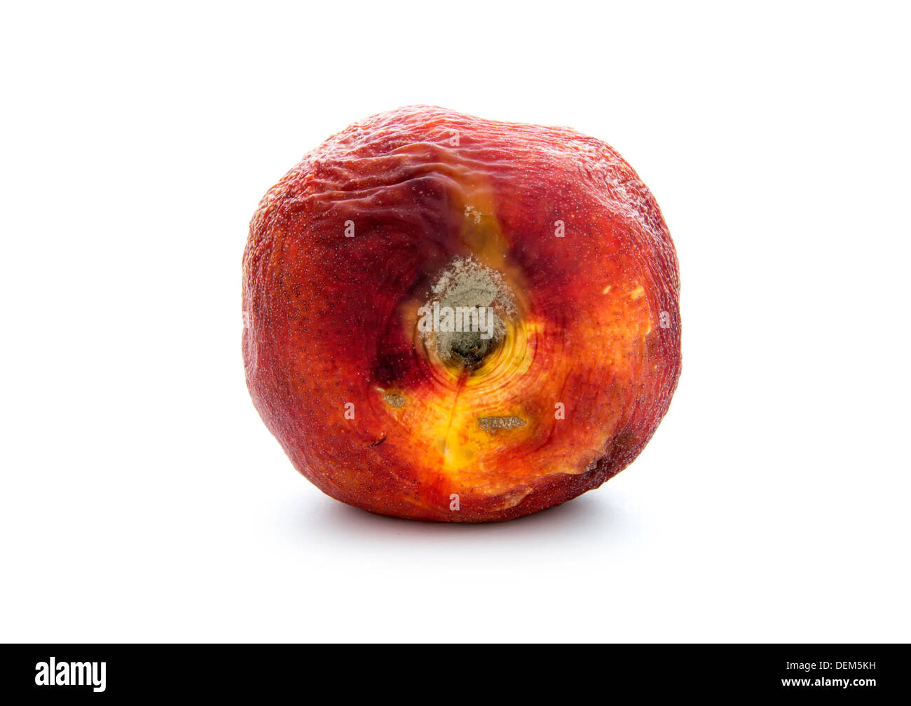 rotten old nectarine with mildew isolated on white Stock Photo - Alamy