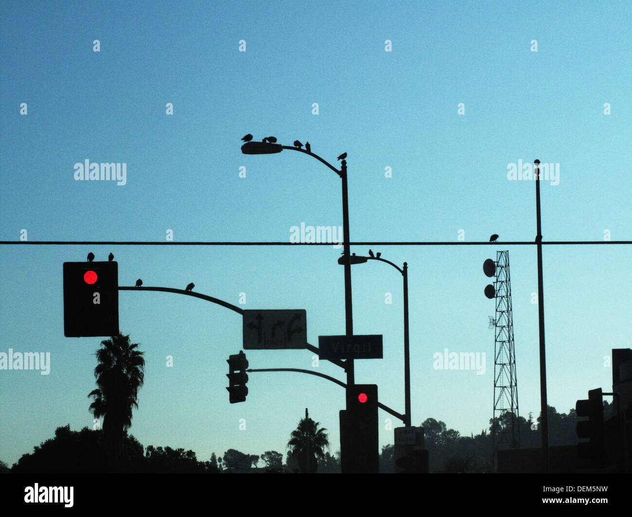 Traffic lights traffic signs hi-res stock photography and images - Alamy