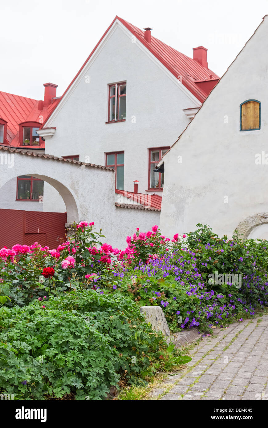 White houses and garden in Visby, the capital of Gotland, Sweden Stock ...