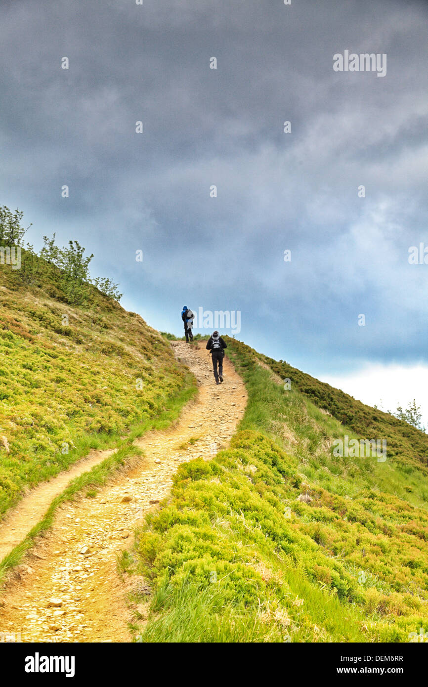 Beautiful summer landscape in the mountains. Pathway through the grassy ...