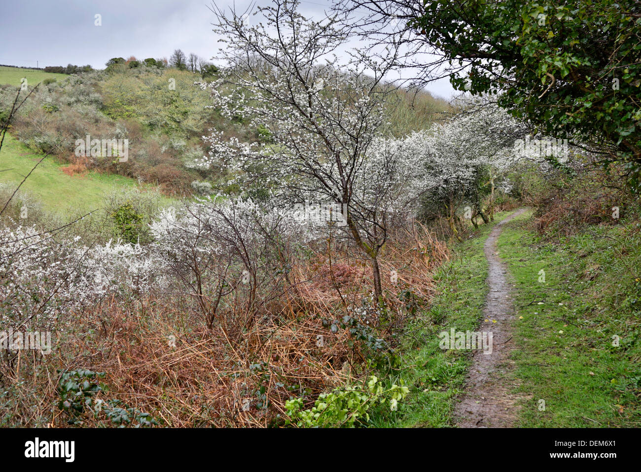 Porthallow cornwall hi-res stock photography and images - Alamy