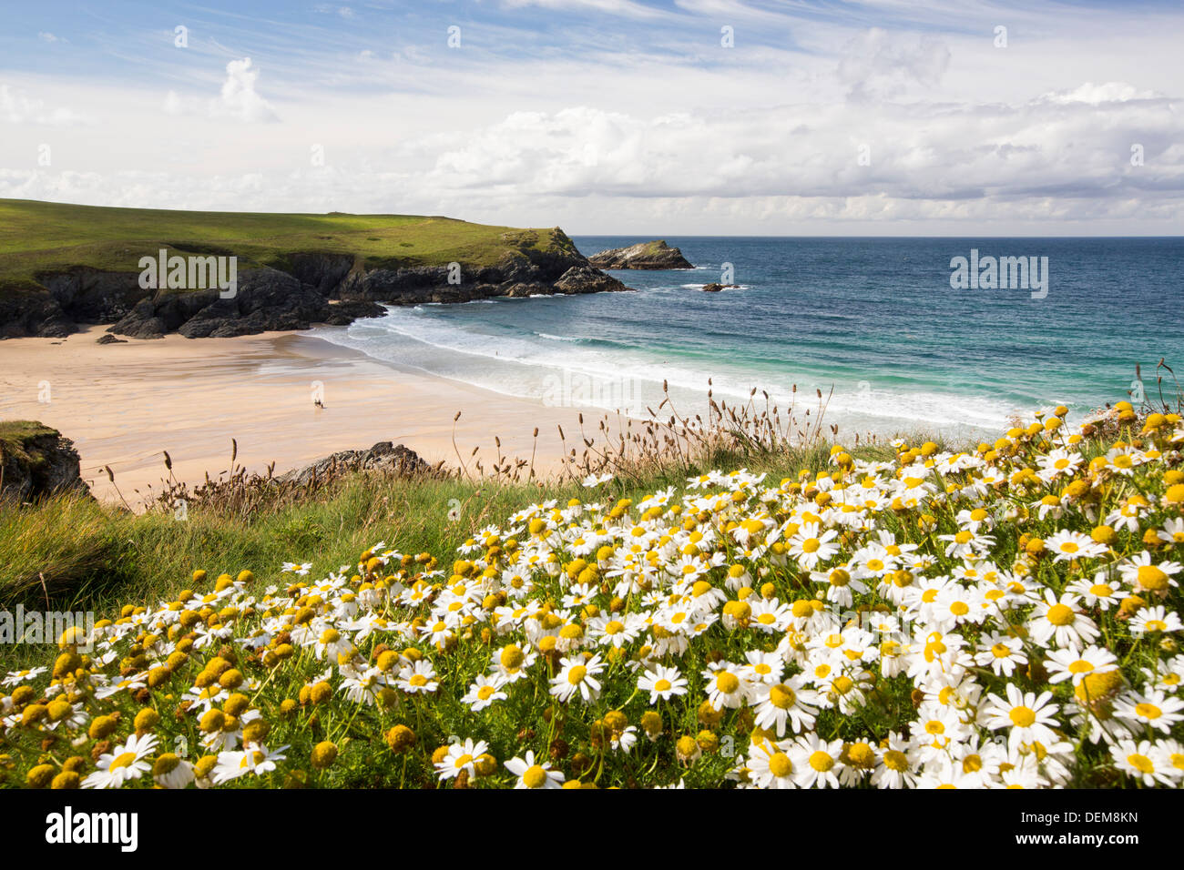 Porth joke beach cornwall hi-res stock photography and images - Alamy