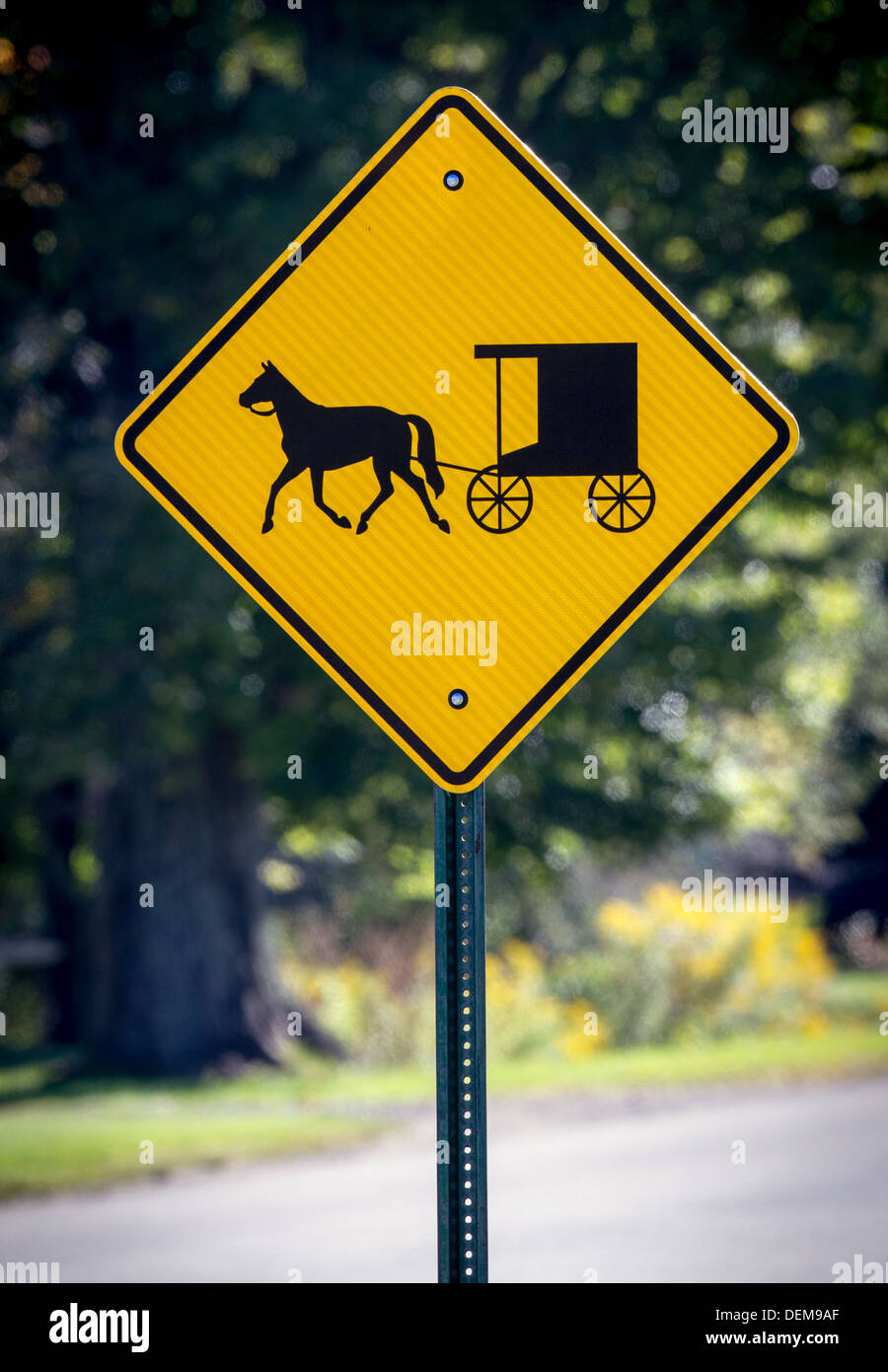 Amish driving buggy hi-res stock photography and images - Alamy