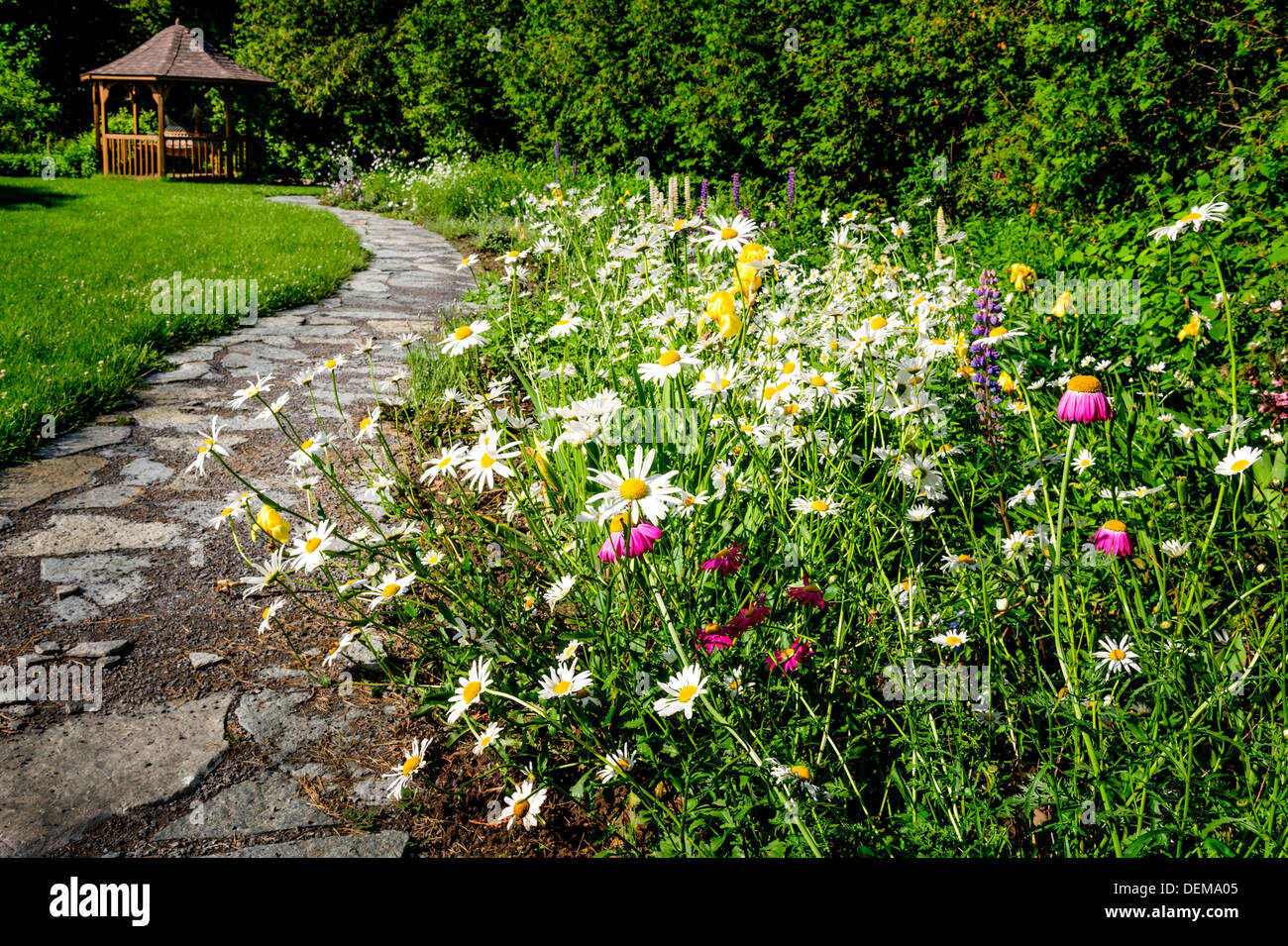 Wildflower garden path hi-res stock photography and images - Alamy