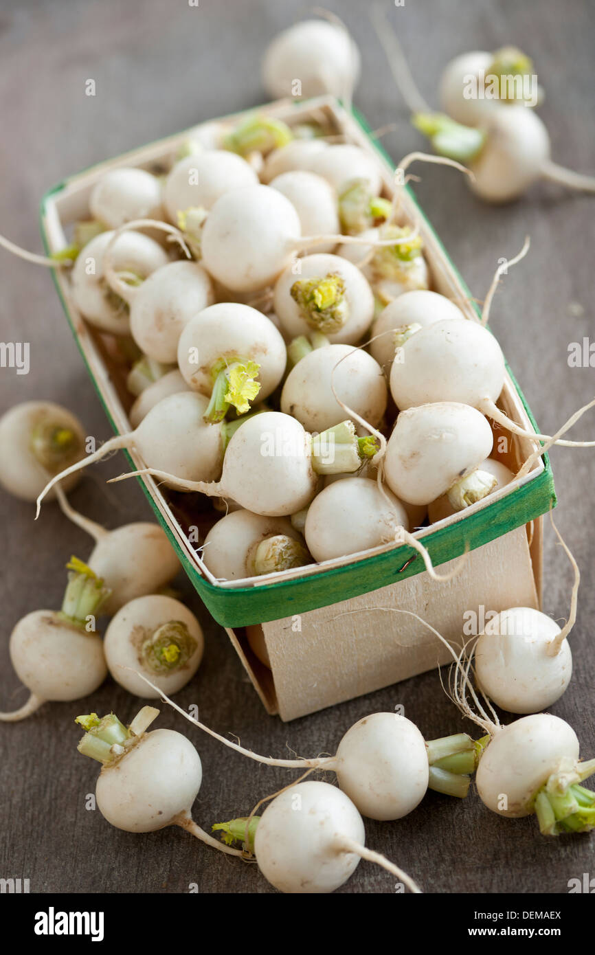 Many small white freshly picked turnips in basket for sale on farmers ...