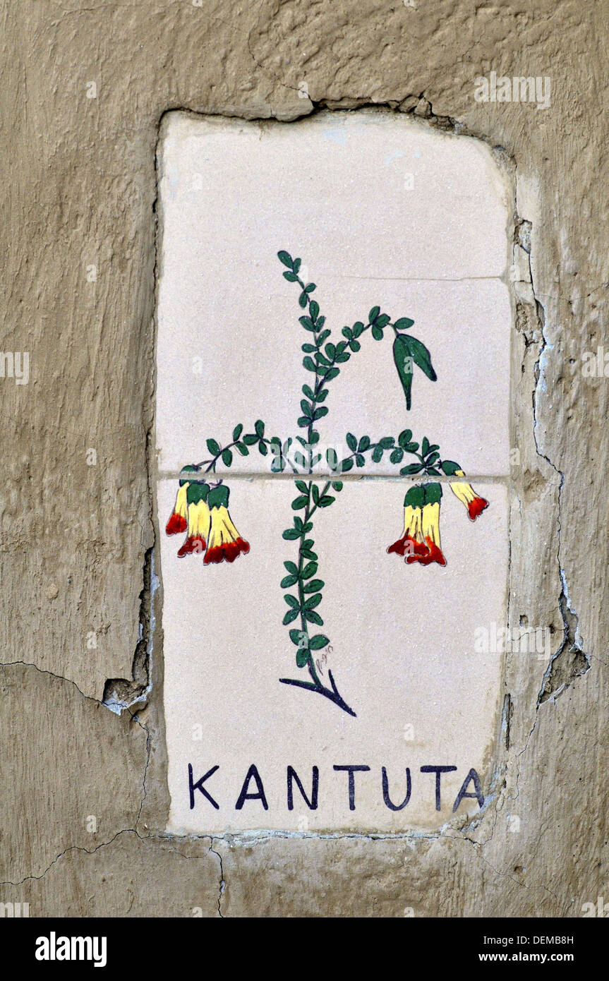 Cantua flower hi-res stock photography and images - Alamy