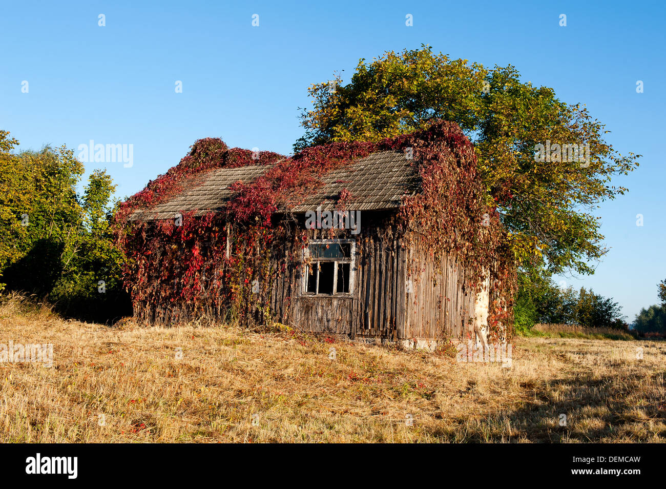 Polish village historical hi-res stock photography and images - Alamy