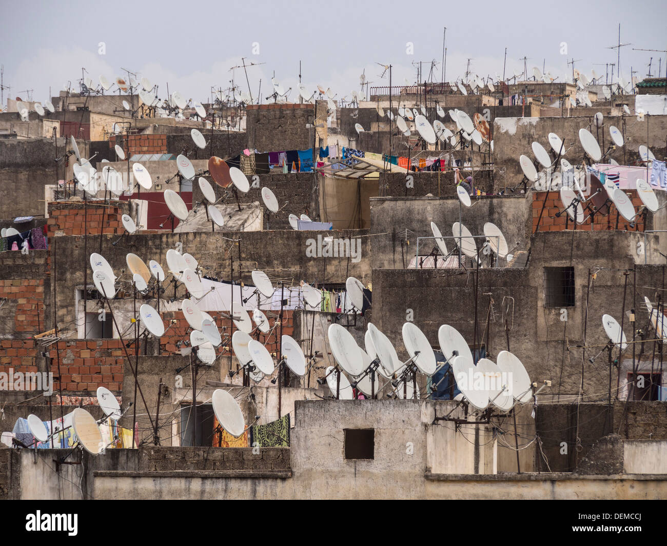 Parabolic roof hi-res stock photography and images - Alamy