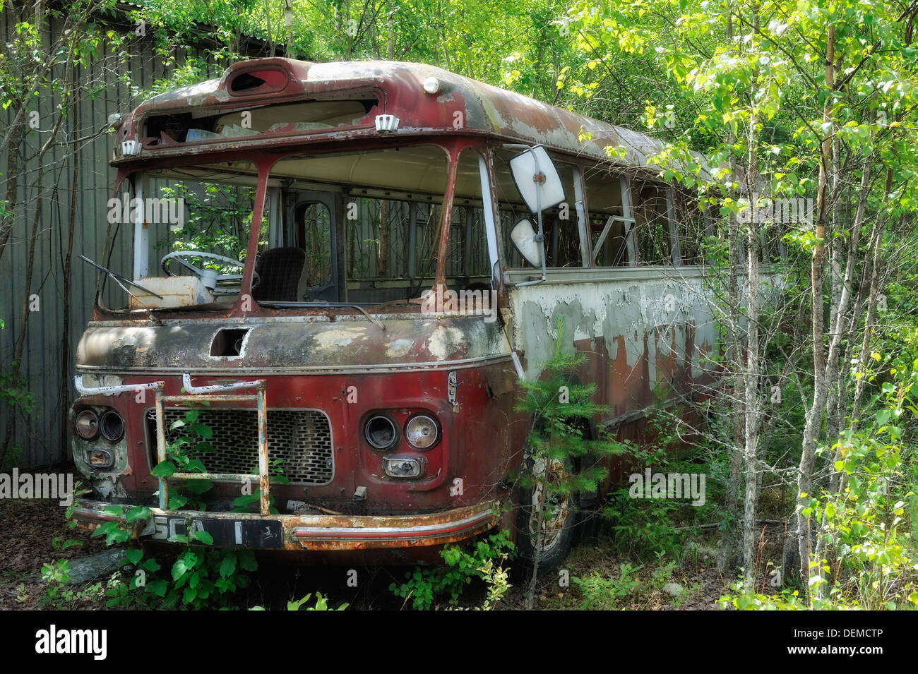 Run down bus in between trees. Deje, Värmland, Sweden Stock Photo - Alamy