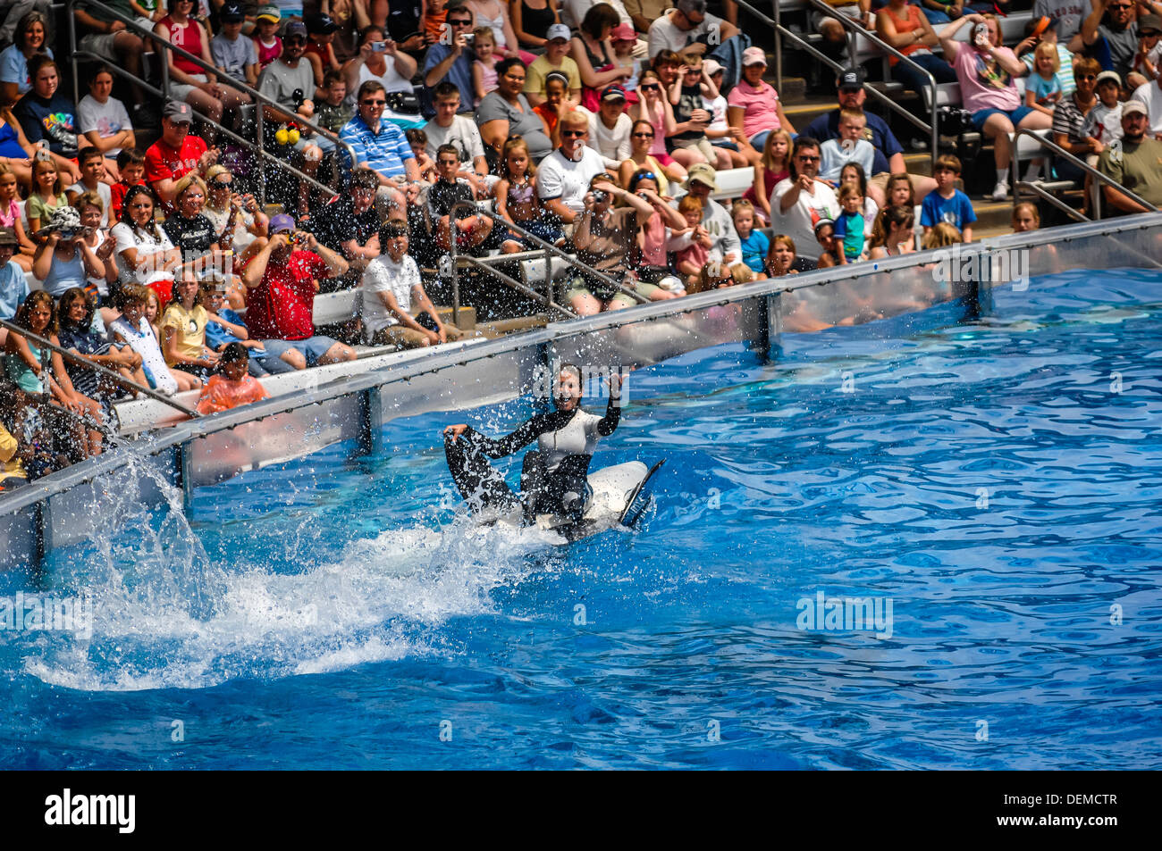 Killer whale orca seaworld hi-res stock photography and images - Alamy