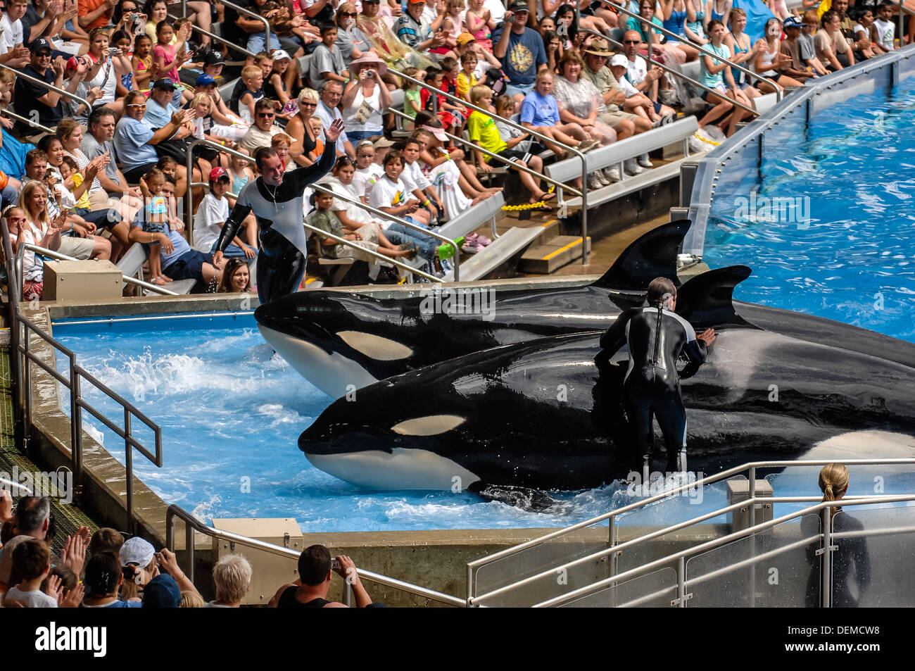 Seaworld orlando aquarium hi-res stock photography and images - Alamy