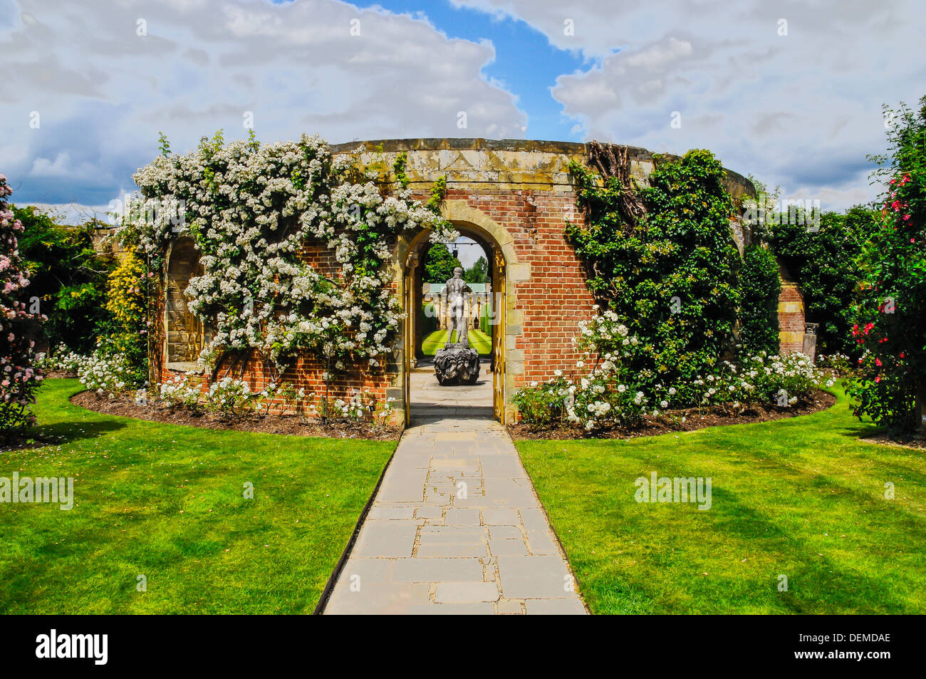 hever kent wild flowers roses red spring england uk europe daisy flora ...