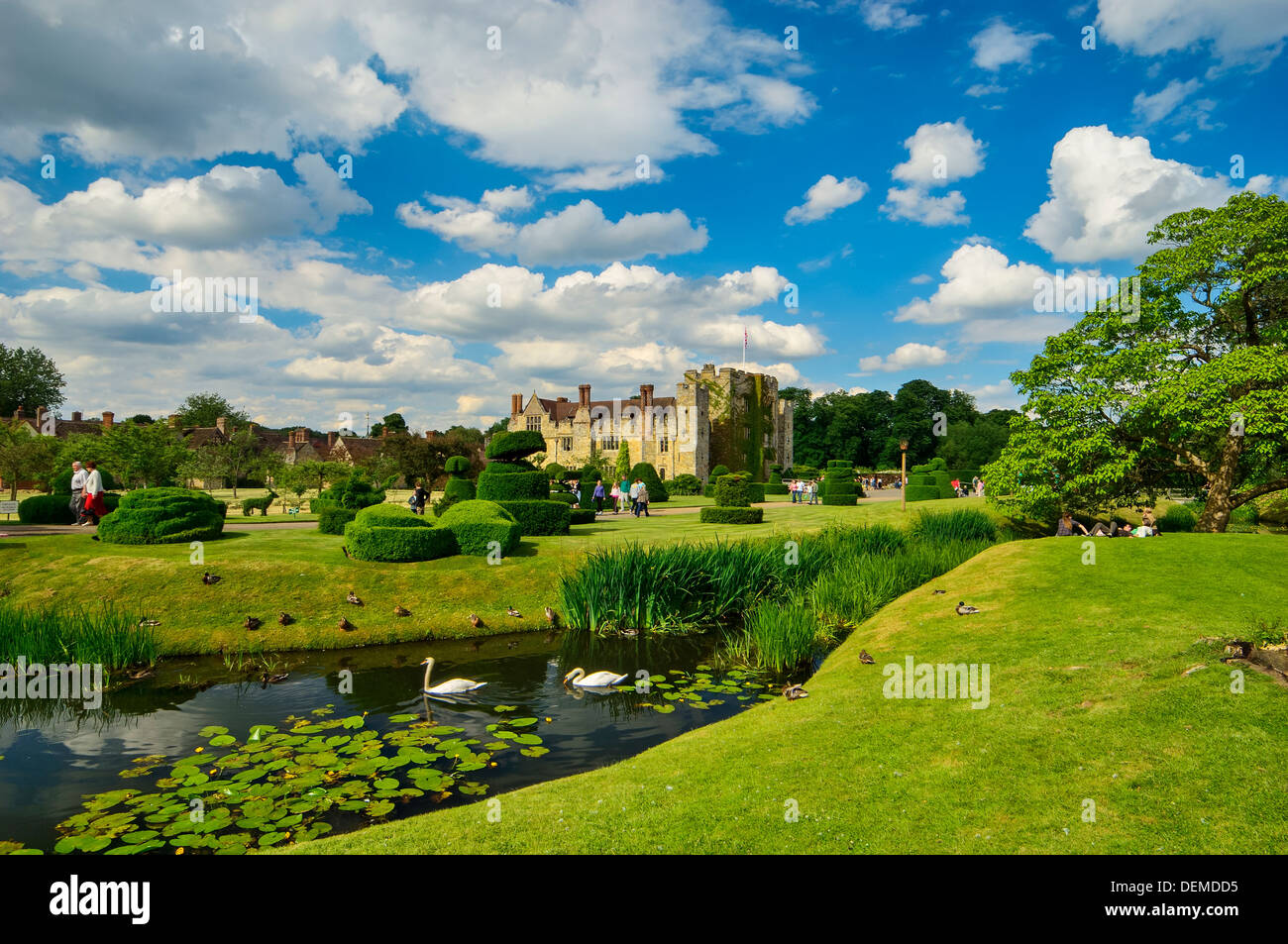 hever kent wild flowers roses red spring england uk europe daisy flora ...