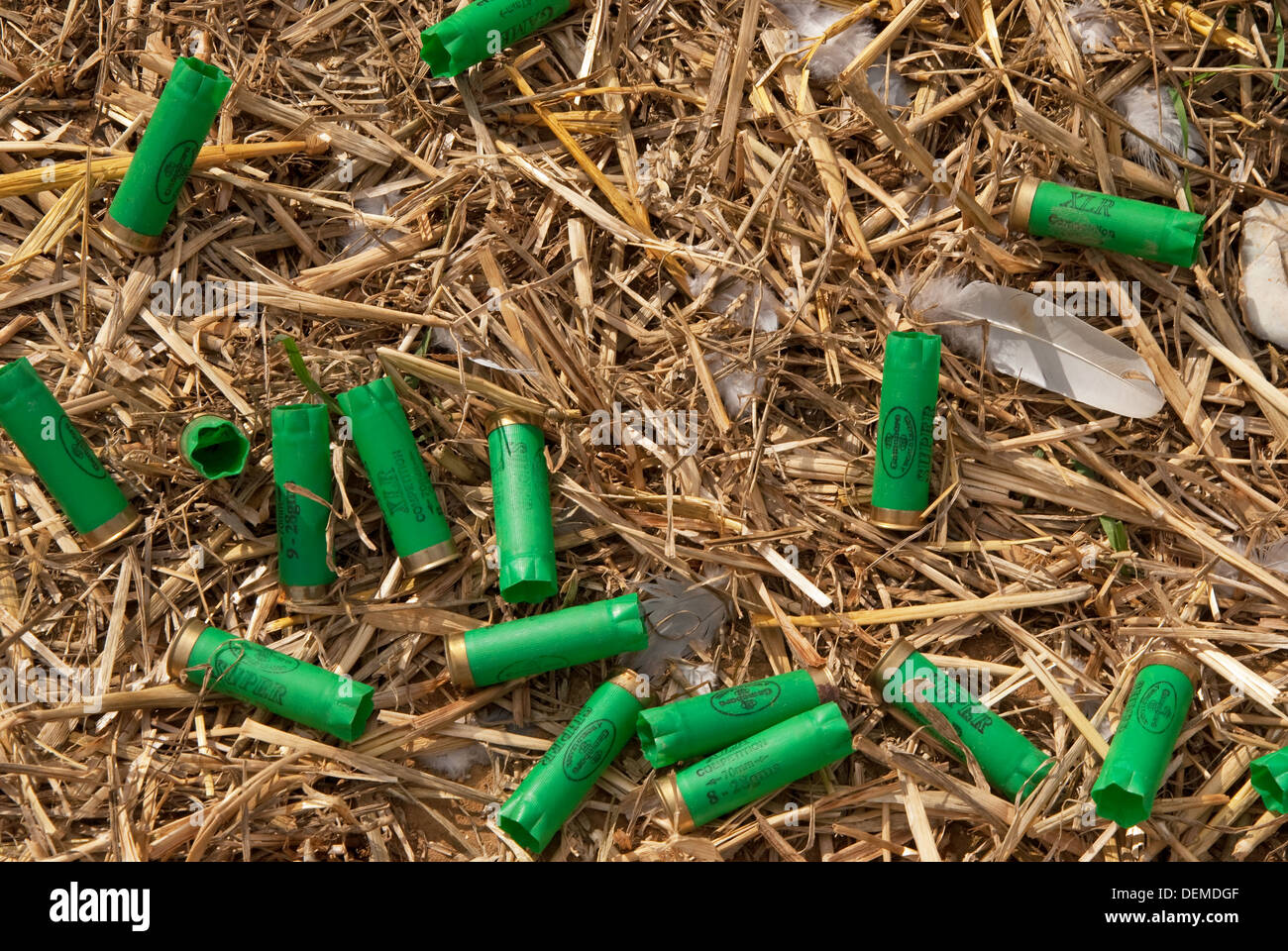 Twelve bore shotgun cartridges hi-res stock photography and images - Alamy