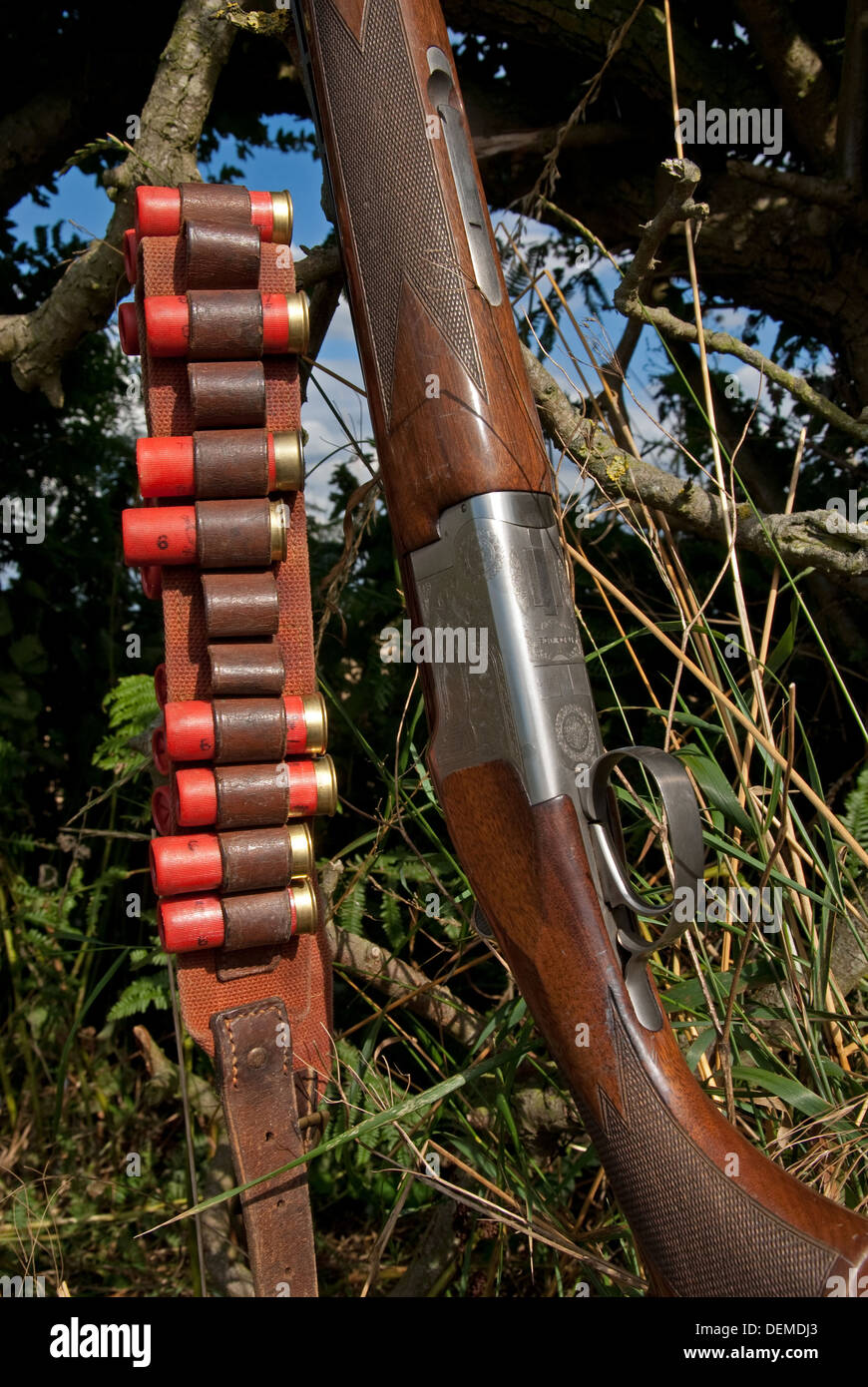 12 bore cartridges hi-res stock photography and images - Alamy