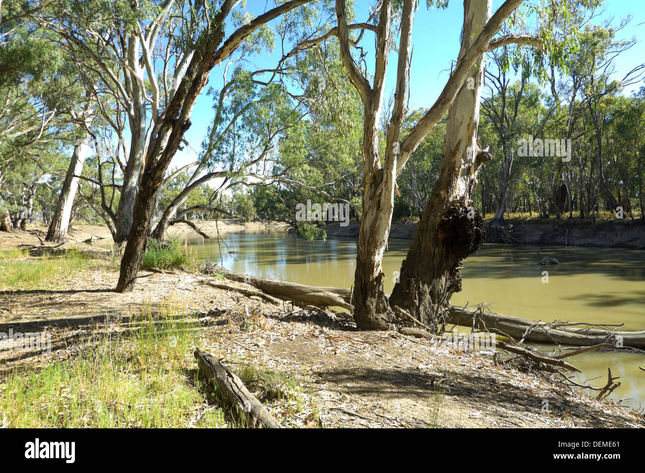 Murrumbidgee river nsw hi-res stock photography and images - Alamy