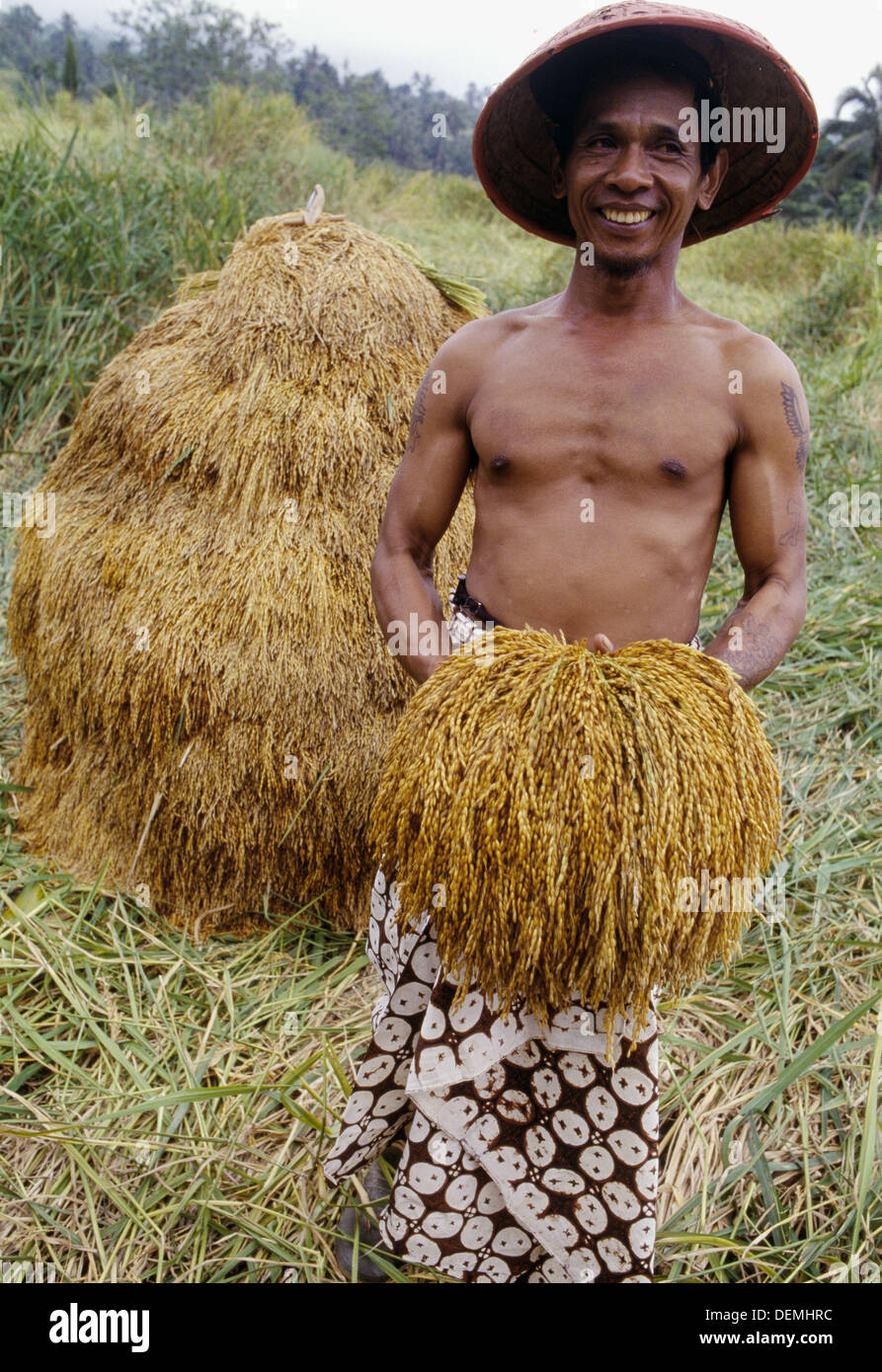 Working in the ricefields hi-res stock photography and images - Alamy