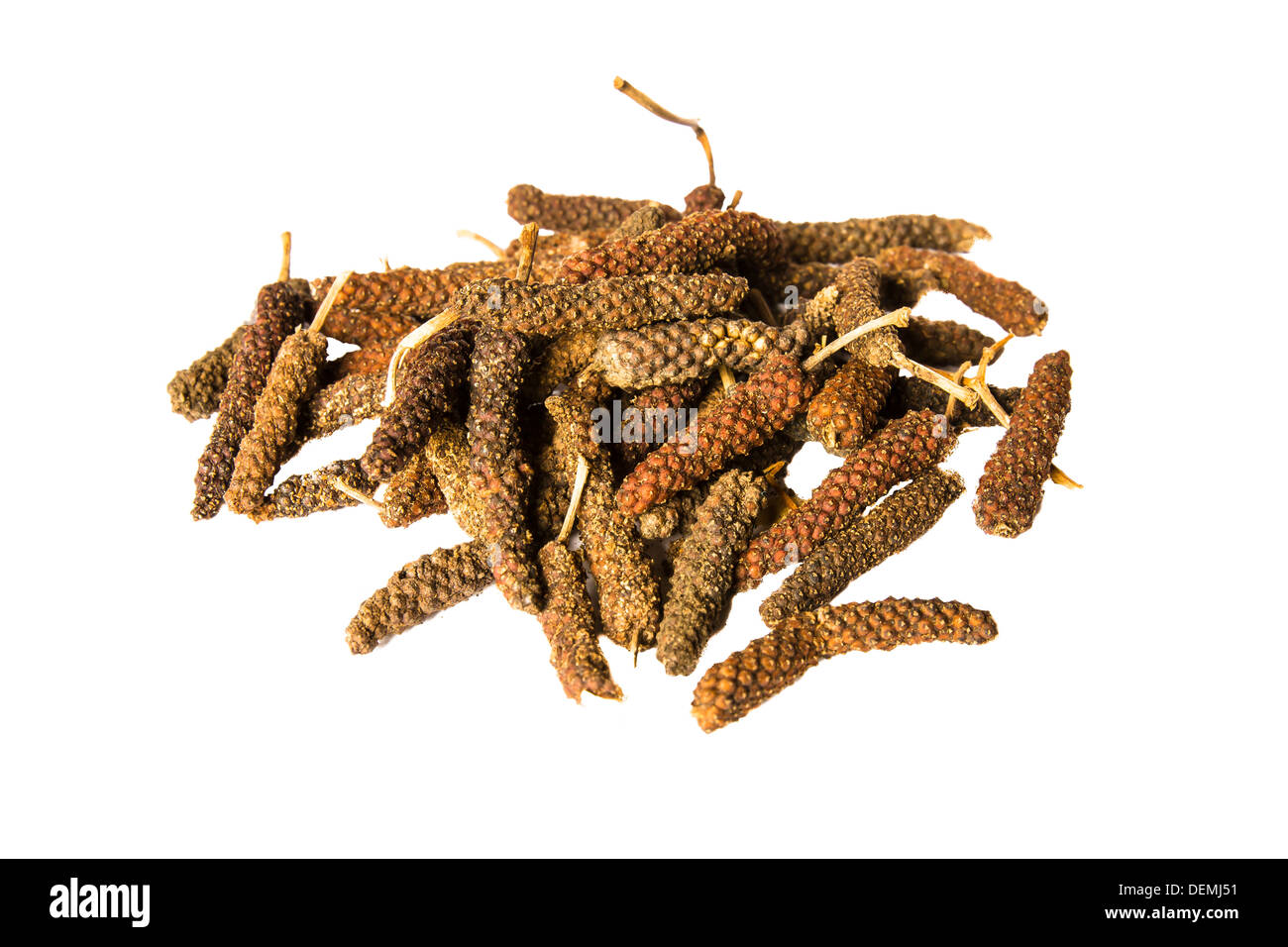 Asian and indian ethnicities hi-res stock photography and images - Alamy