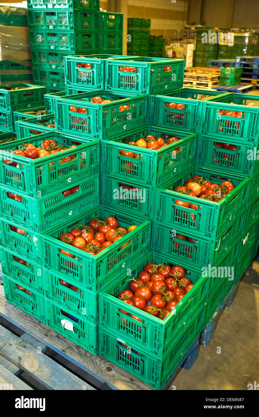 Tomatoes in a store Stock Photo - Alamy