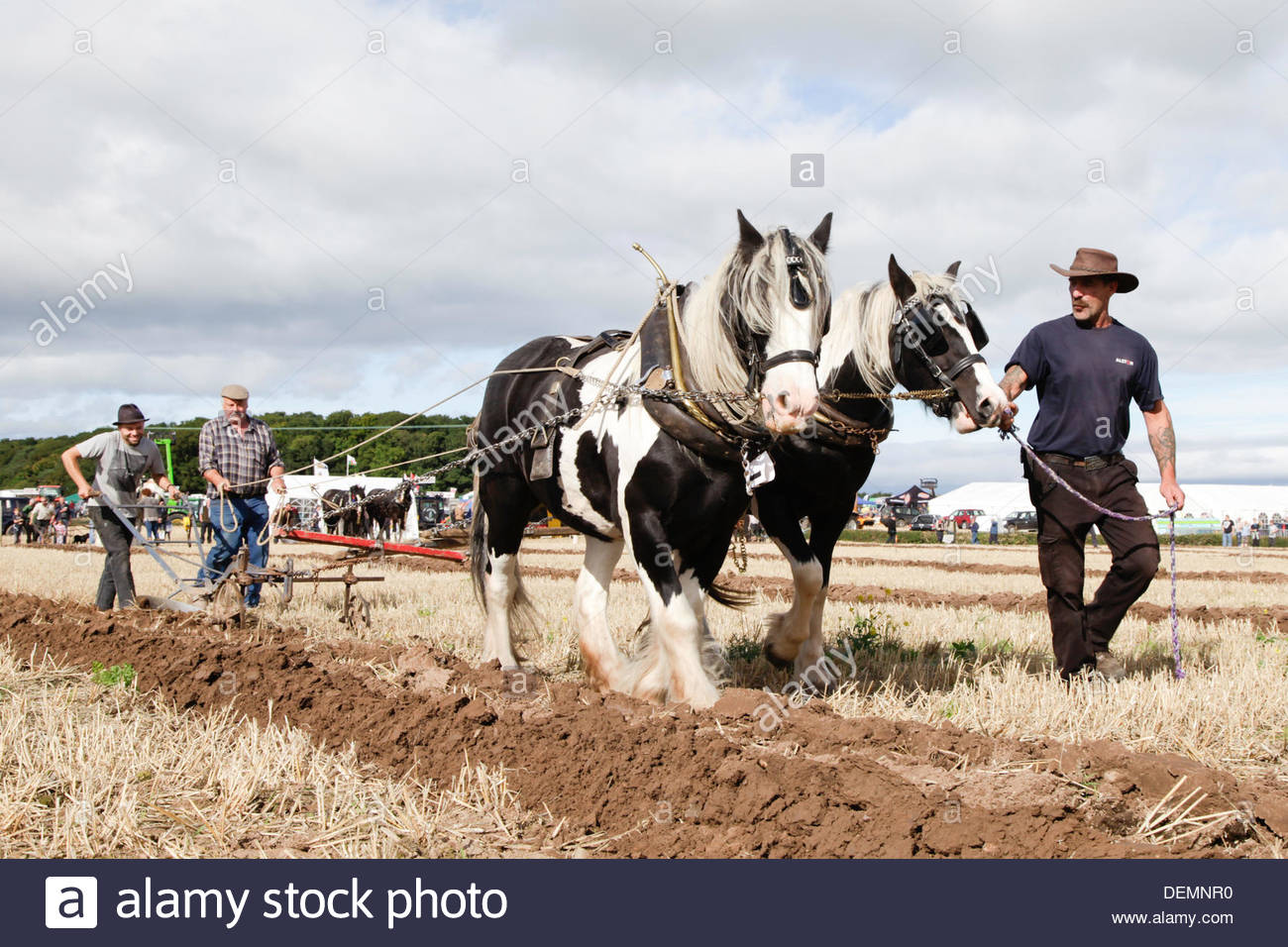 Farmers Plough Field Horse Drawn Stock Photos & Farmers Plough Field ...