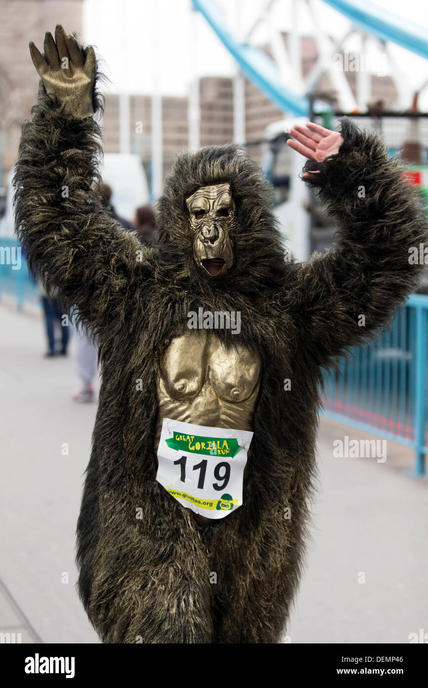 London, UK. 21st Sep 2013. The Great Gorilla Run a charity run in aid ...