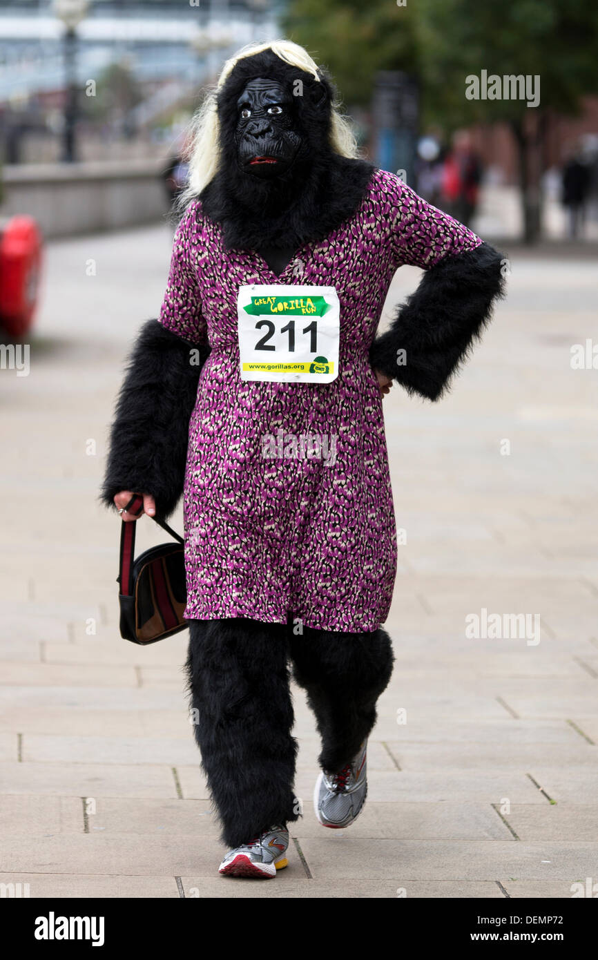 London, UK. 21st Sep 2013. The Great Gorilla Run a charity run in aid ...