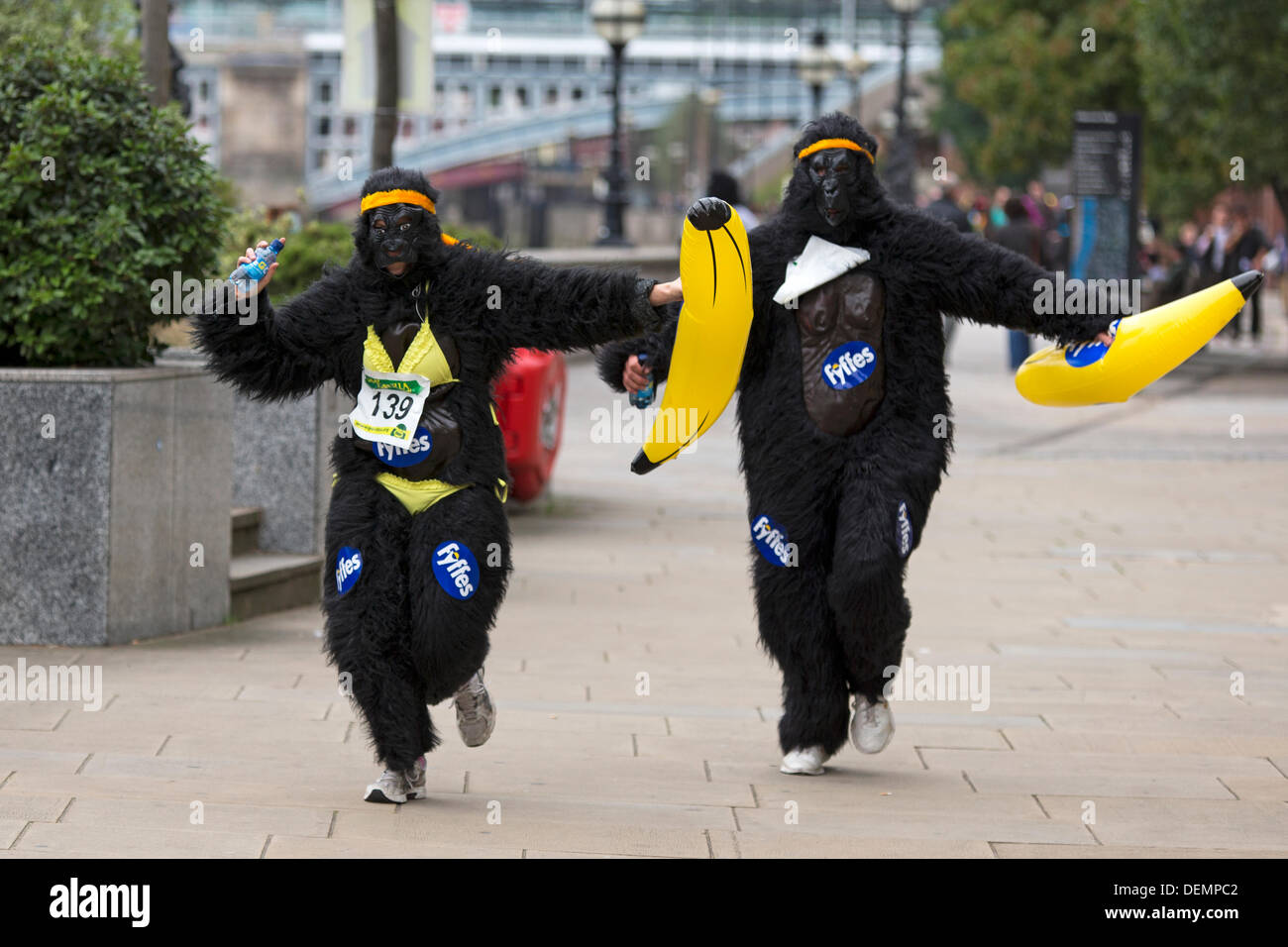 London, UK. 21st Sep 2013. The Great Gorilla Run a charity run in aid ...