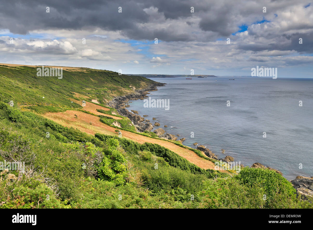 Rame head hi-res stock photography and images - Alamy